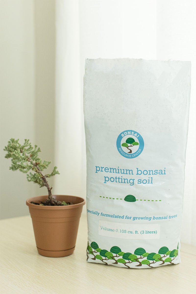 Bonsai Soil - Orchid Resource Center