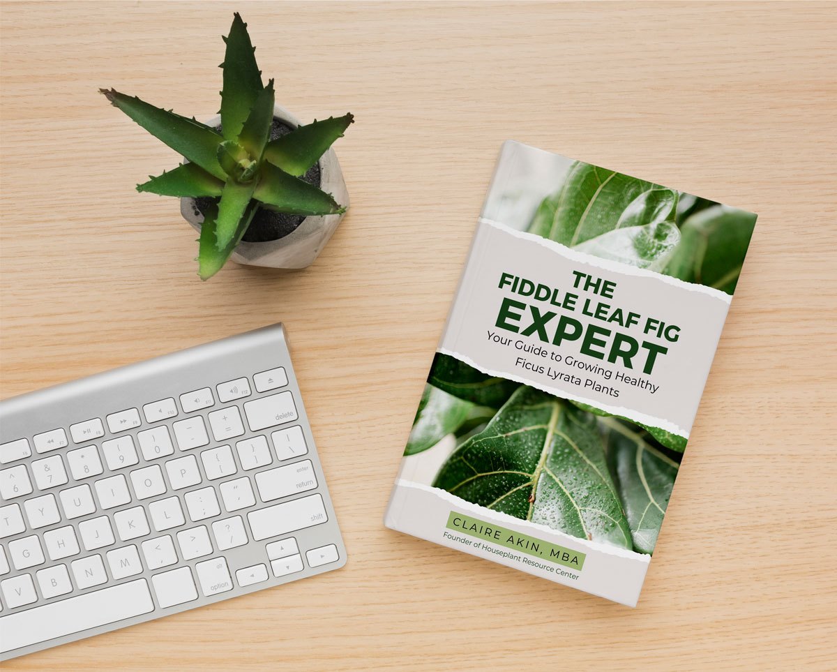 The Fiddle Leaf Fig Expert Book - Orchid Resource Center