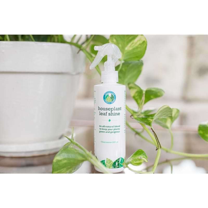 Houseplant Leaf Shine Spray - Orchid Resource Center